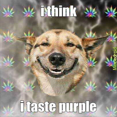 purple - Meme by micahdc99 :) Memedroid