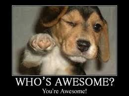 who's awesome not you - Meme by walkermoffett :) Memedroid