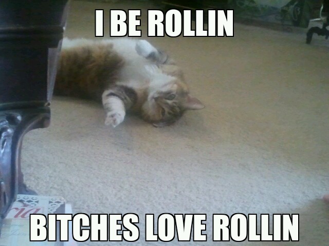 Rollin - Meme by BearMonster :) Memedroid