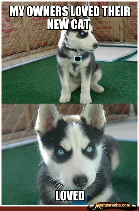 loved - Meme by hugadino :) Memedroid