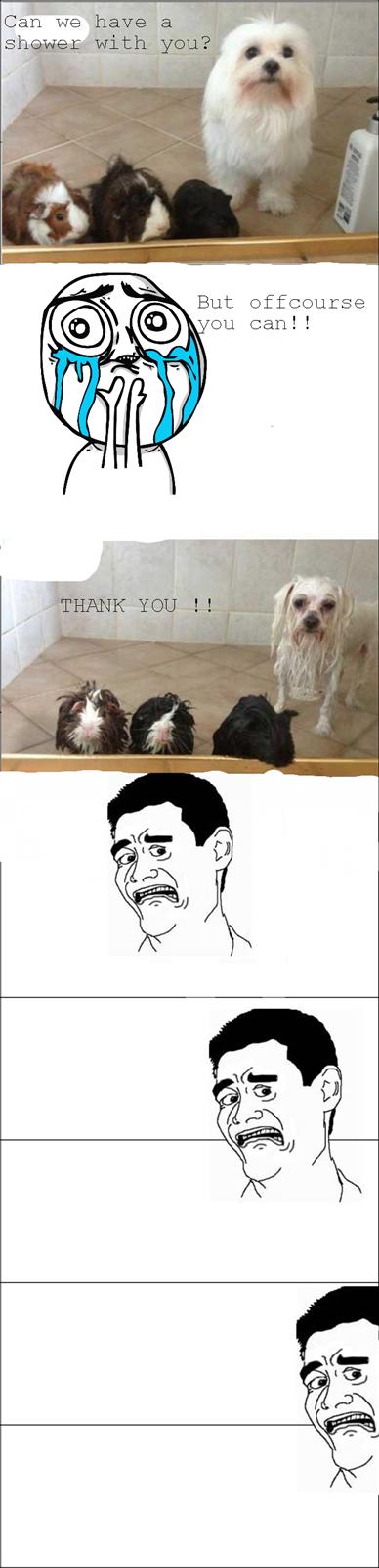 took - Meme by luckylady2001 :) Memedroid