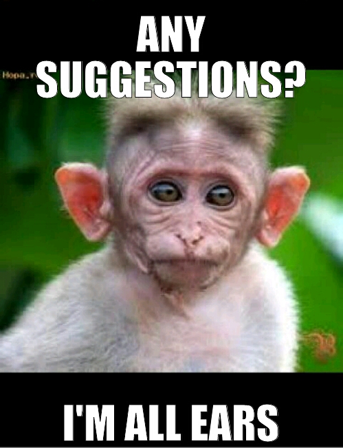 a great listener - Meme subido por Taco033 :) Memedroid