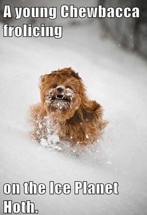 Hoth is awesome - Meme by lordkaiser :) Memedroid