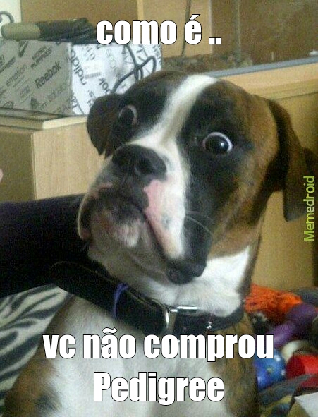 Pedigree - Meme by massuni13 :) Memedroid