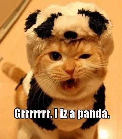 Awww - Meme by Gundam813 :) Memedroid