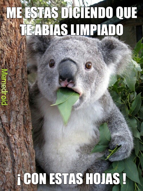 que agusto - Meme by skiler_zone :) Memedroid