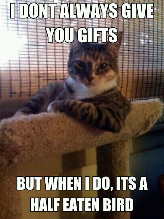 Kitteh why?! - Meme by Tokeamillion :) Memedroid