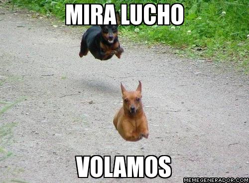 fds - Meme subido por fraan29 :) Memedroid