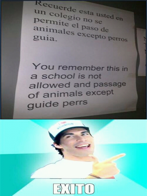 exito - Meme by sonicometalfull :) Memedroid