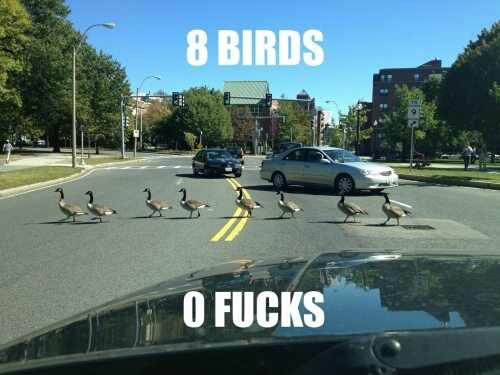 0 fucks given - Meme by emcjr :) Memedroid