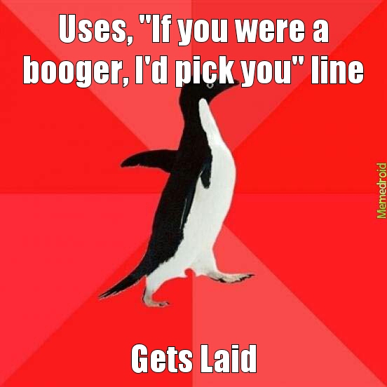 Pick Up Line - Meme by MrIronWalrus1337 :) Memedroid