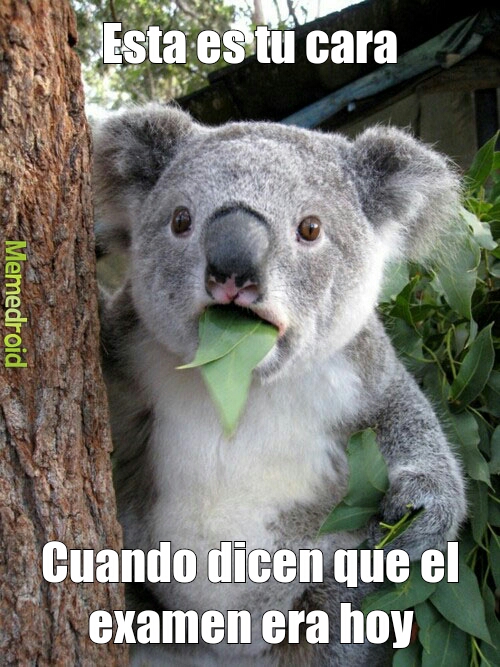 examen - Meme subido por yaooo :) Memedroid