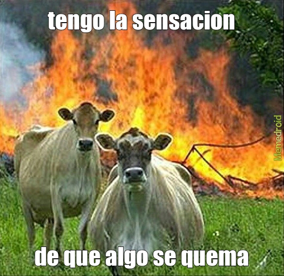 vaca - Meme subido por Rocket87-_- :) Memedroid