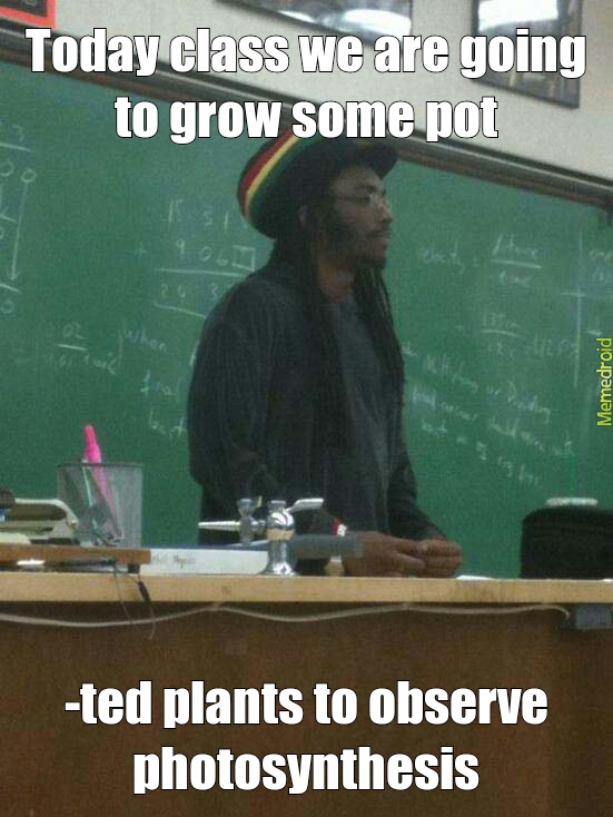 Grow some pot - Meme by Ziddumz :) Memedroid