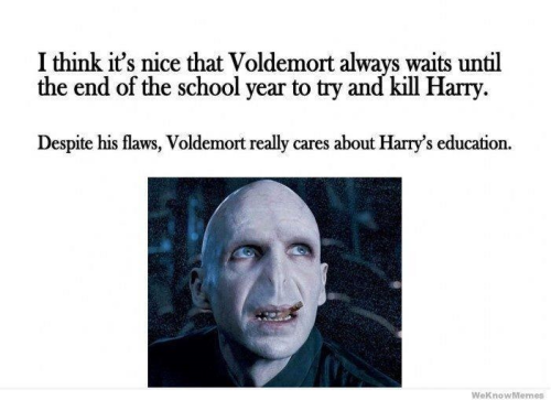 Voldemort is pretty nice thought. - Meme subido por trollamanda ...