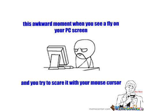 Awkward Fly !! - Meme by chabinader :) Memedroid