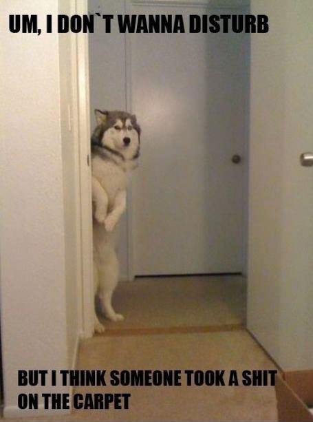 We got a problem - Meme subido por Jahe :) Memedroid