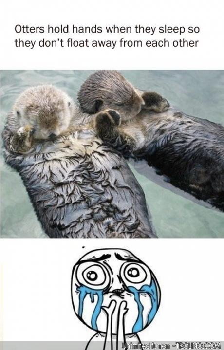 aaawww - Meme by finxninjzz :) Memedroid