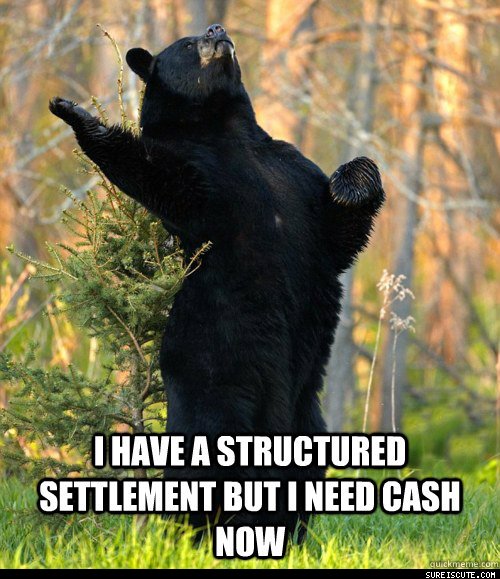 rawr - Meme by yourfired :) Memedroid