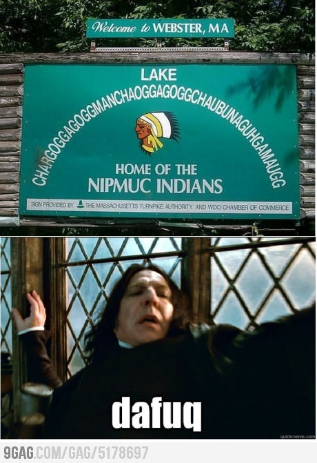 giggidy - Meme subido por SNOWBUNNY :) Memedroid