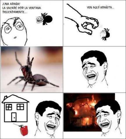 araña - Meme subido por kion265 :) Memedroid