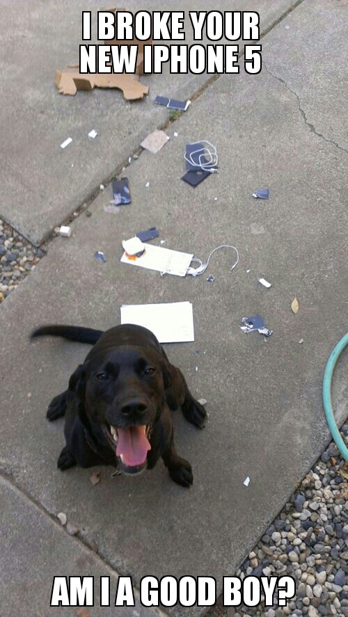 IT'S FENTON! - Meme by MegamanX :) Memedroid