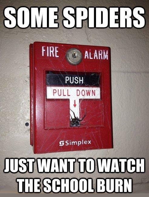 pierced urethra - Meme subido por JamaI :) Memedroid