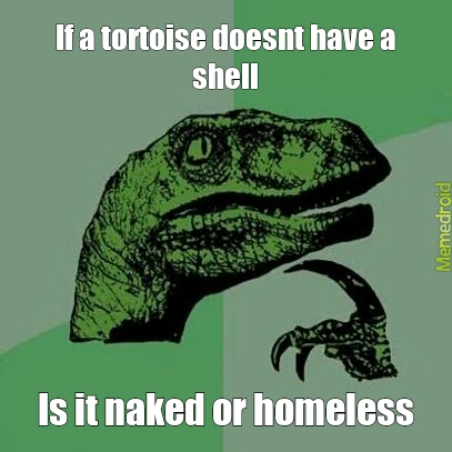 Tortoise - Meme by Dancooper100 :) Memedroid