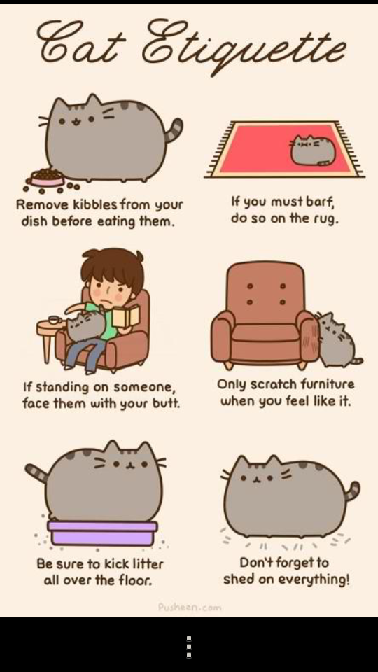 pusheen - Meme by TheLG :) Memedroid