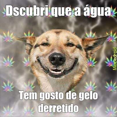 E gelo tem goato de água congelada - Meme by Dessapudim :) Memedroid