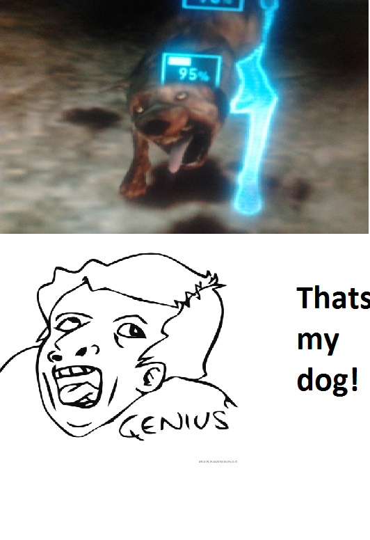 thats my dog - Meme by KevinX :) Memedroid