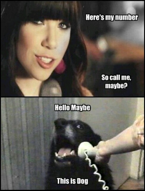 Asdfghjkl - Meme by Katniss_ :) Memedroid