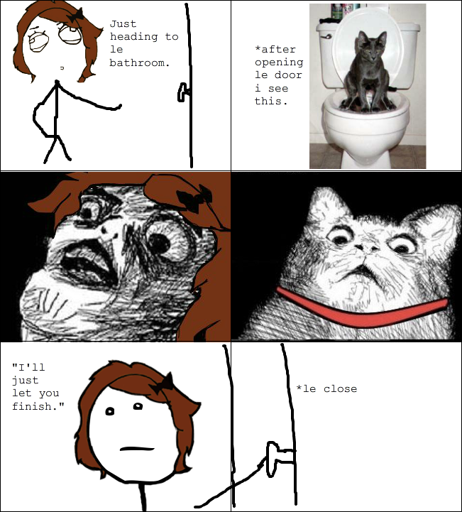 Poop Cat Memes No Pooping Without Supervision" Funny Cat Metal Sign