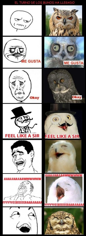 meme buhos - Meme by chakour :) Memedroid