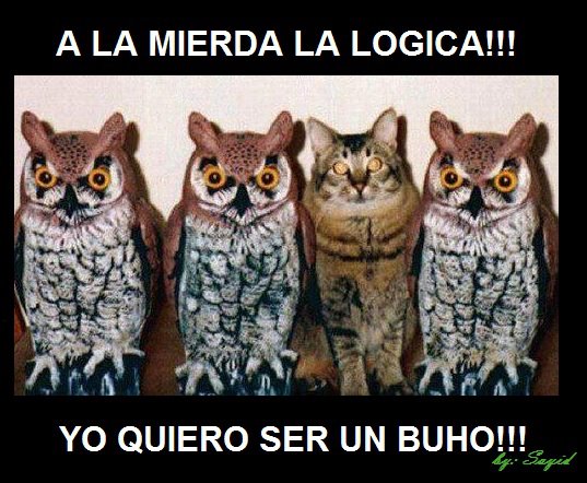 quiero ser buho - Meme subido por sayid_viad :) Memedroid