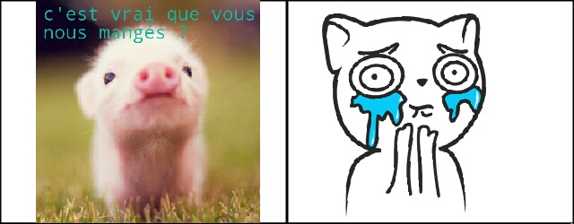 cochon - Meme by romain :) Memedroid