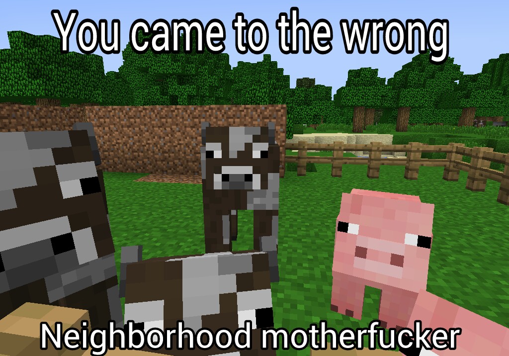 Minecraft is too intense - Meme by jvarga11 :) Memedroid