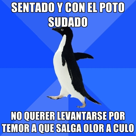 Socially Awkward Penguin - sentado y con el poto sudado no querer ...